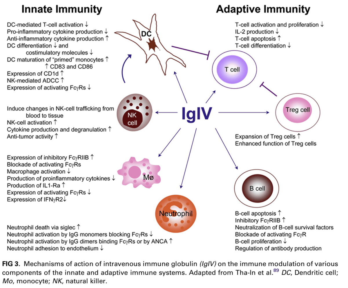 経静脈的免疫グロブリン療法（IVIg：intravenous immunoglobulin） – NeuroNote / ニューロノート